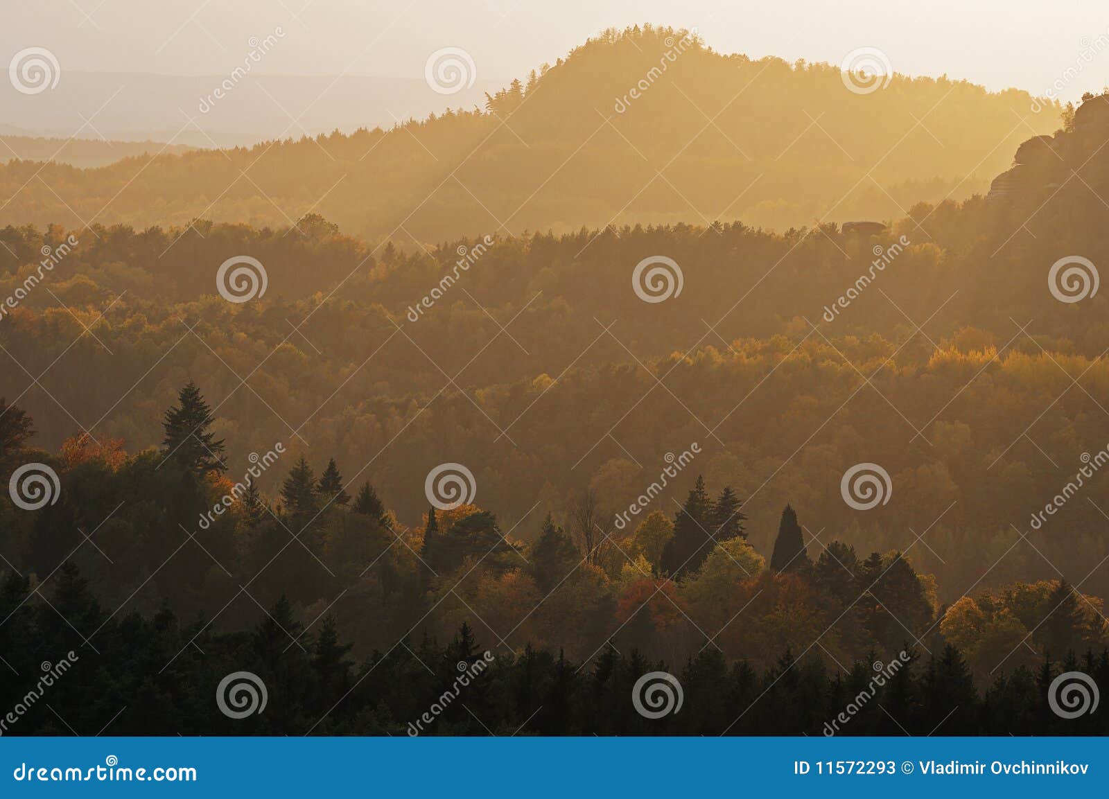 Autumn Forests Covered by Light Haze Stock Image - Image of range ...
