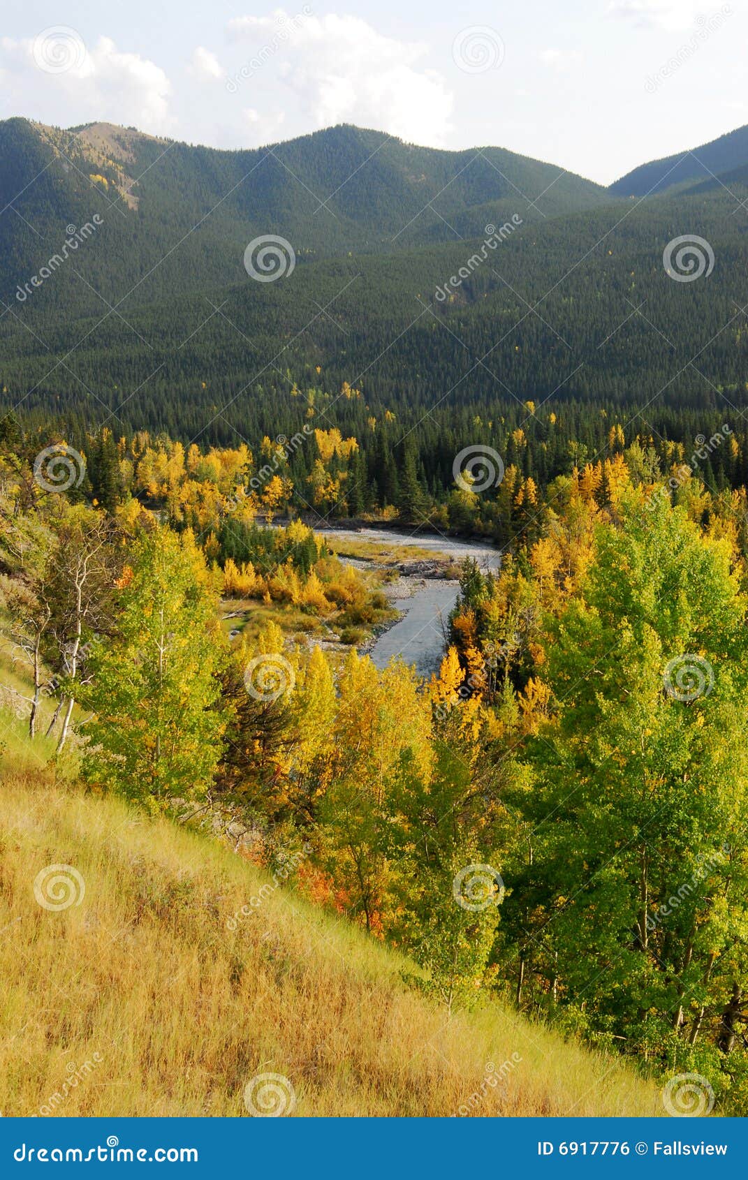 Autumn forests in valley stock photo. Image of mountains - 6917776