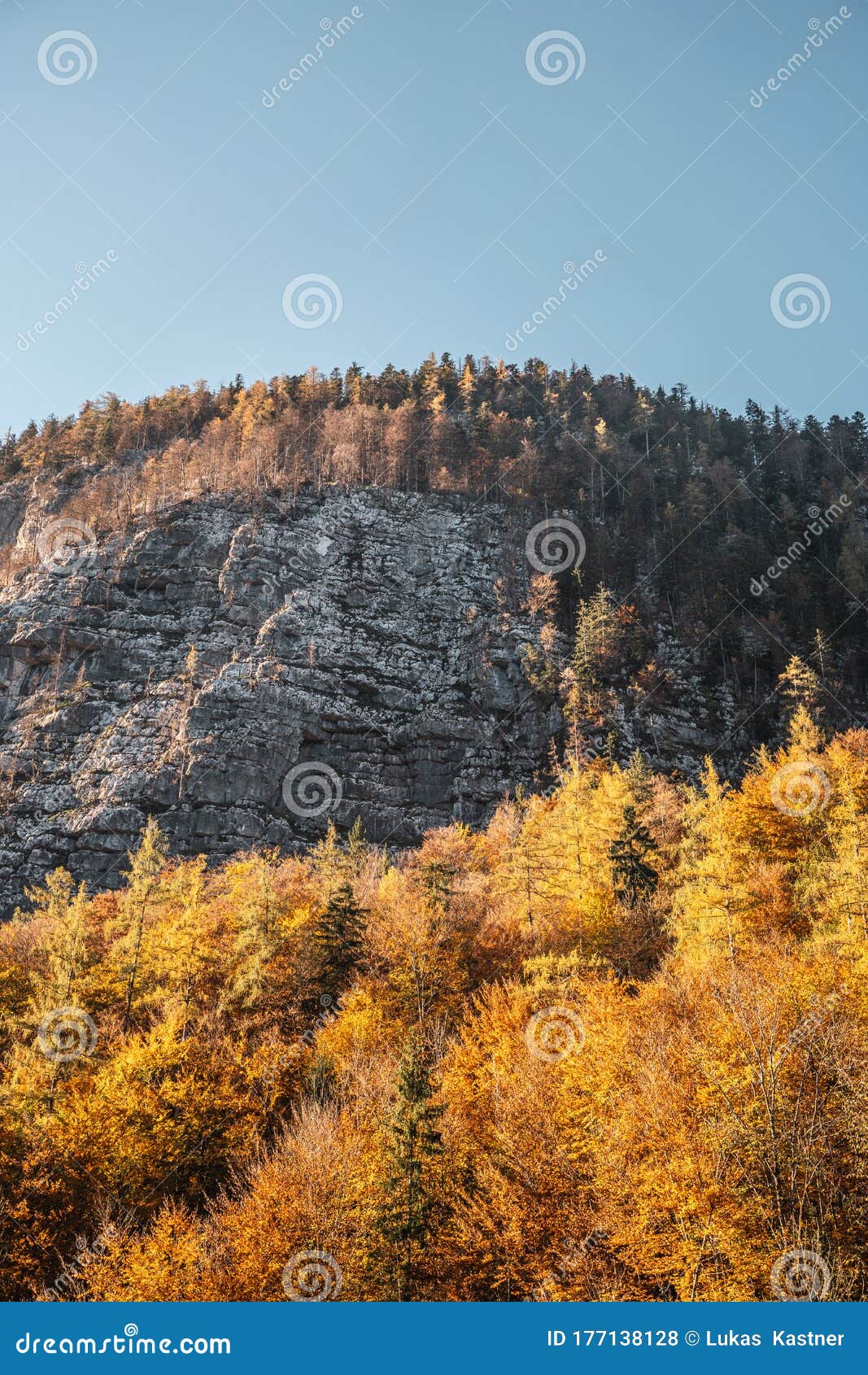 Autumn Forrest during Sunset in Hallstatt Austria Stock Photo - Image ...