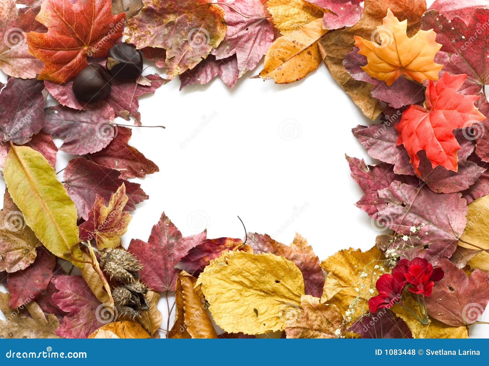 Autumn frame stock photo. Image of yellow, seasonal, background - 1083448