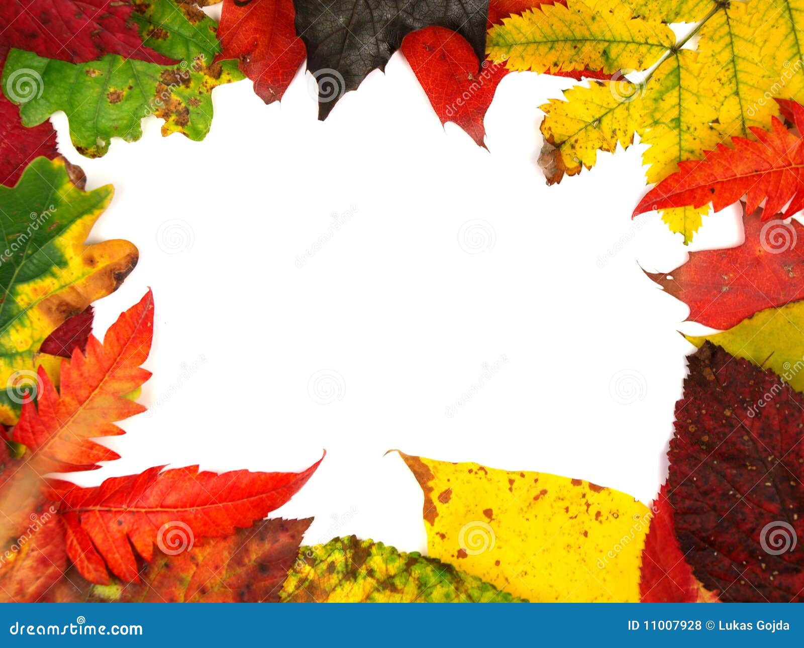 Autumn frame stock photo. Image of garth, drop, space - 11007928
