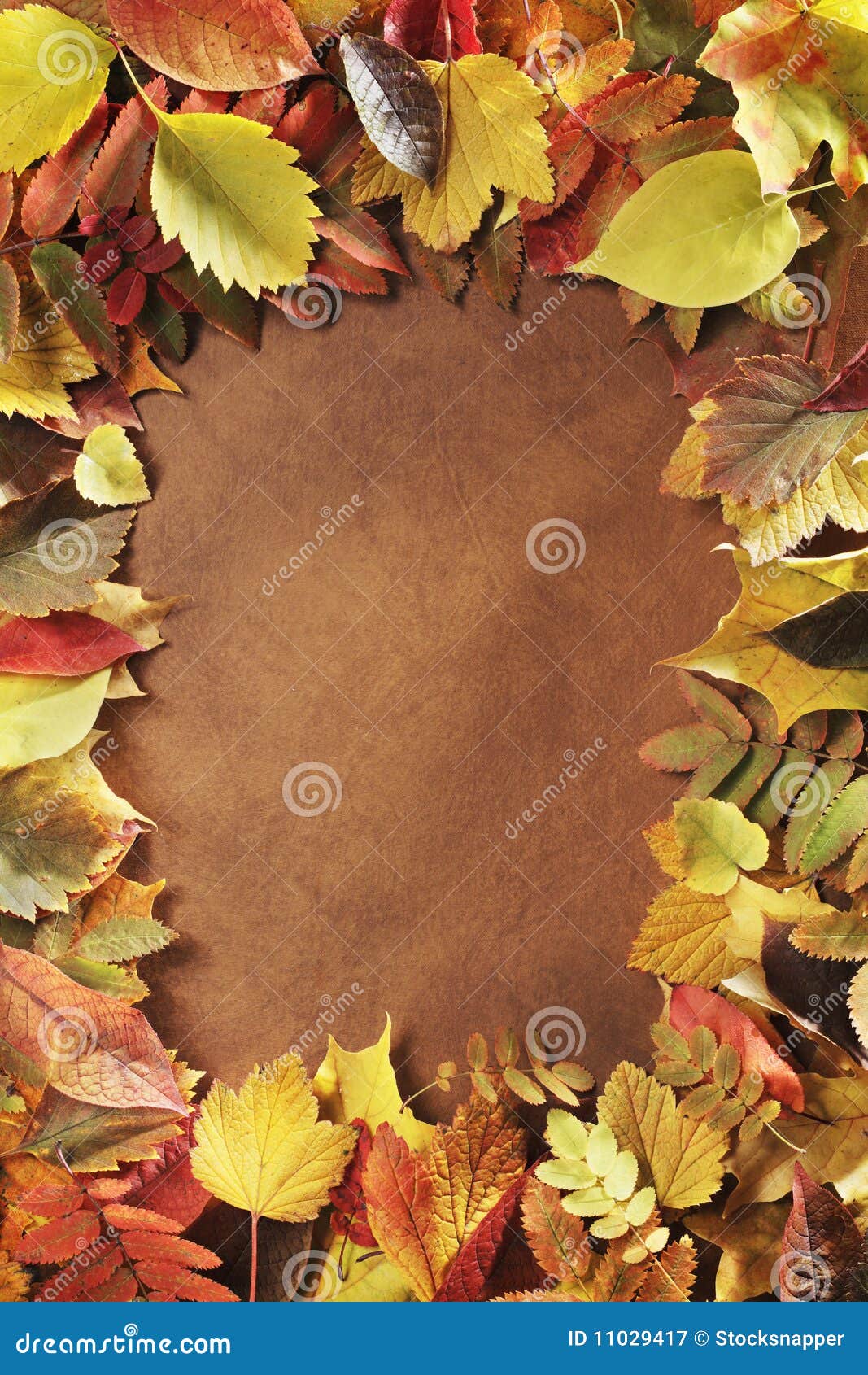 Autumn frame stock image. Image of colour, yellow, texture - 11029417