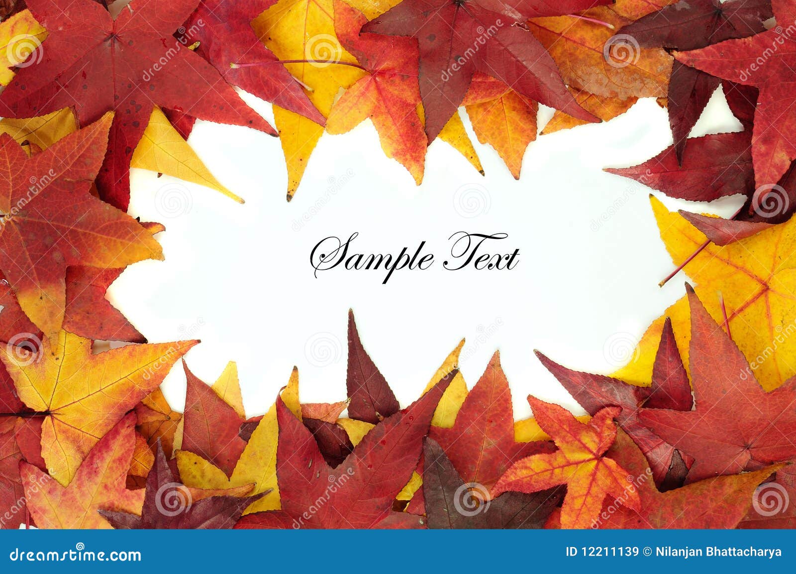 Autumn frame stock image. Image of bright, foliage, colorful - 12211139