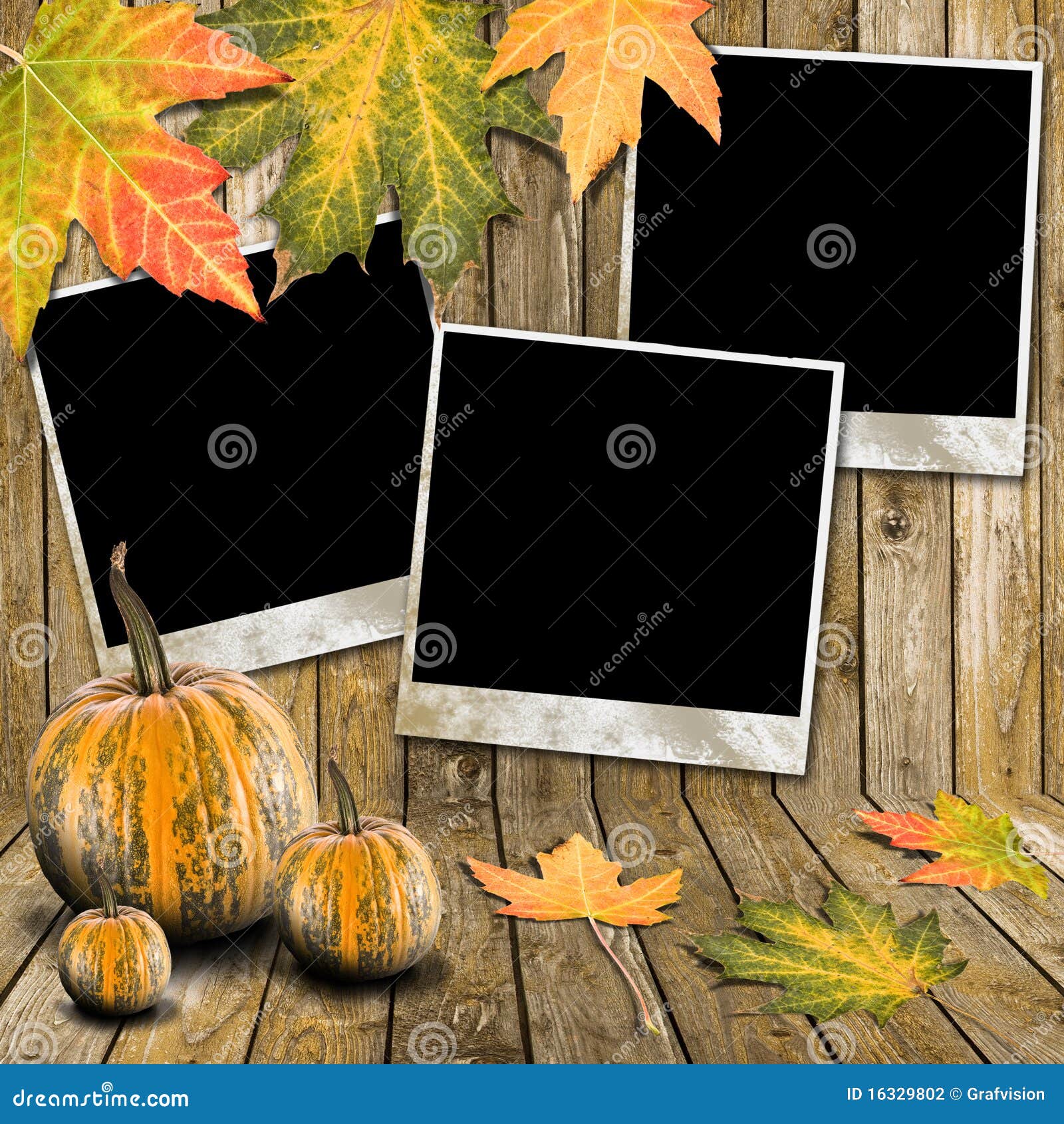 Autumn frame stock photo. Image of blank, background - 16329802