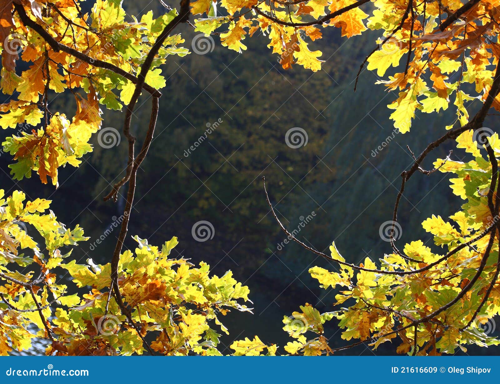 Autumn frame stock image. Image of frame, branch, rural - 21616609