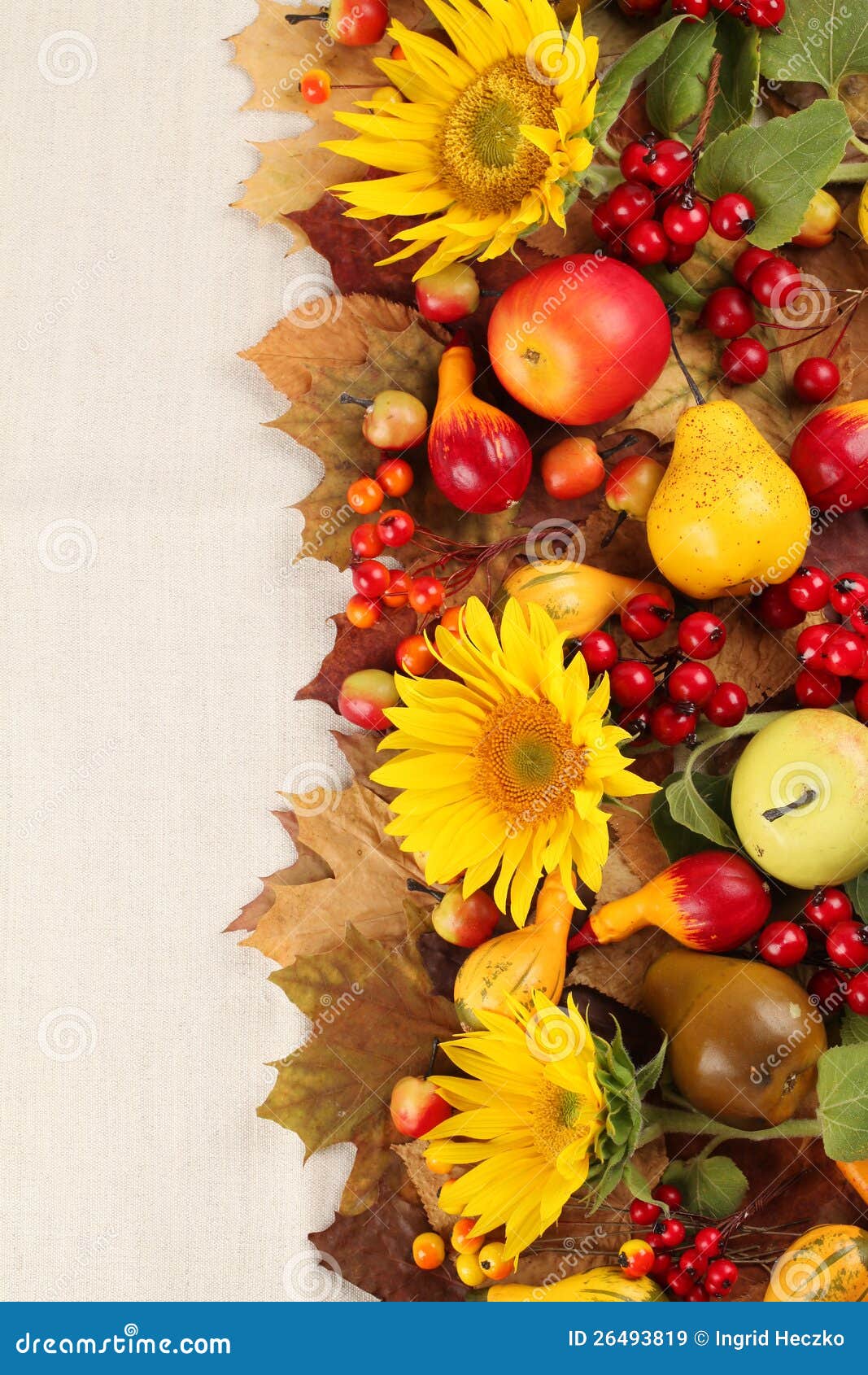 Autumn frame stock image. Image of decoration, gourd - 26493819