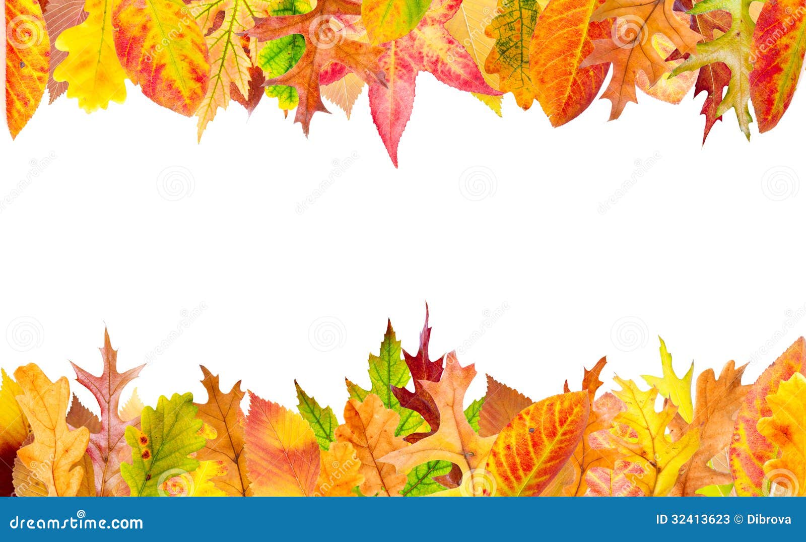 Autumn Frame imagen de archivo. Imagen de belleza, grupo - 32413623