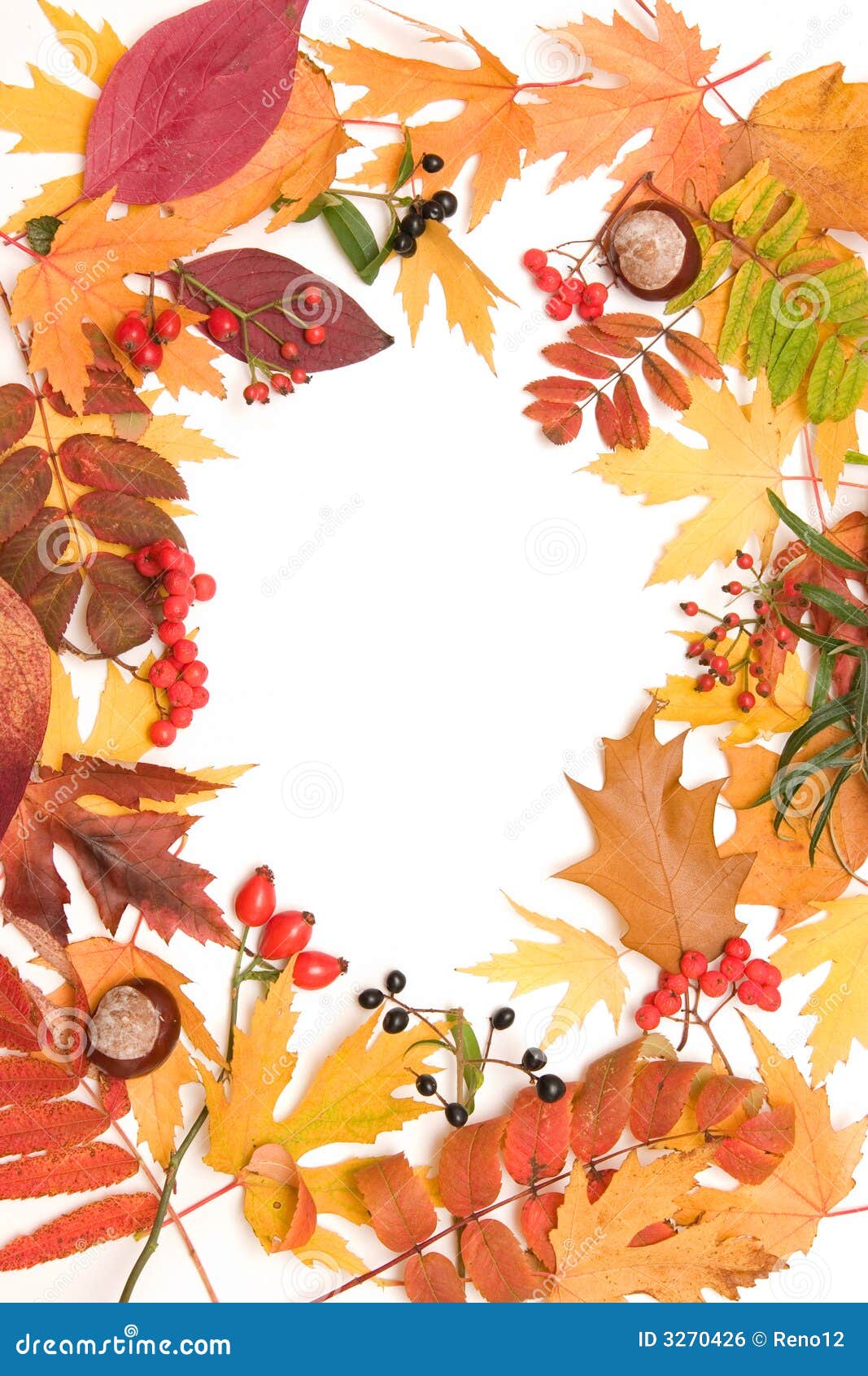 Autumn frame stock photo. Image of nature, fall, colourful - 3270426