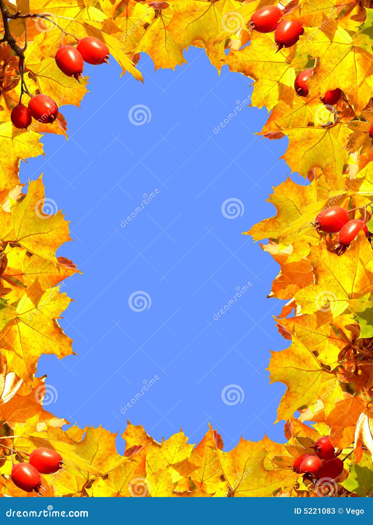Autumn frame stock image. Image of bright, decoration - 5221083