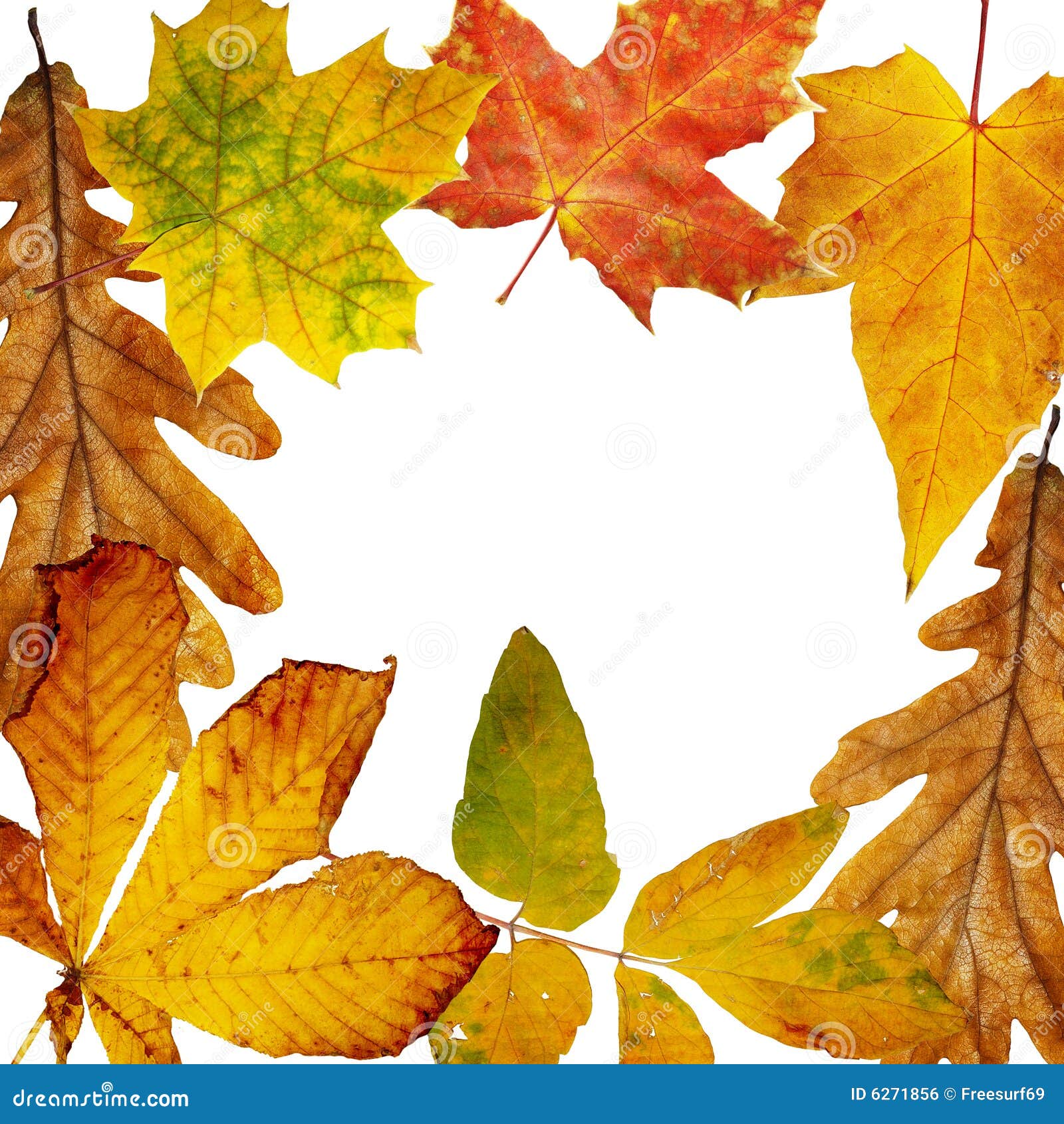 Autumn Frame Picture. Image: 6271856