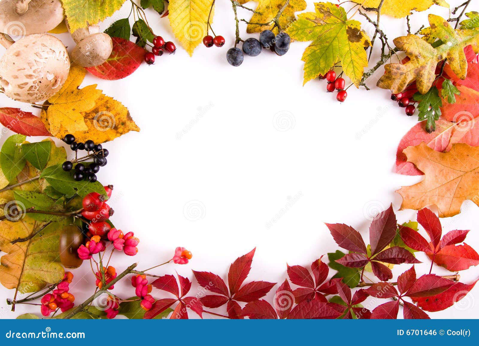 Autumn frame stock photo. Image of nature, decoration - 6701646