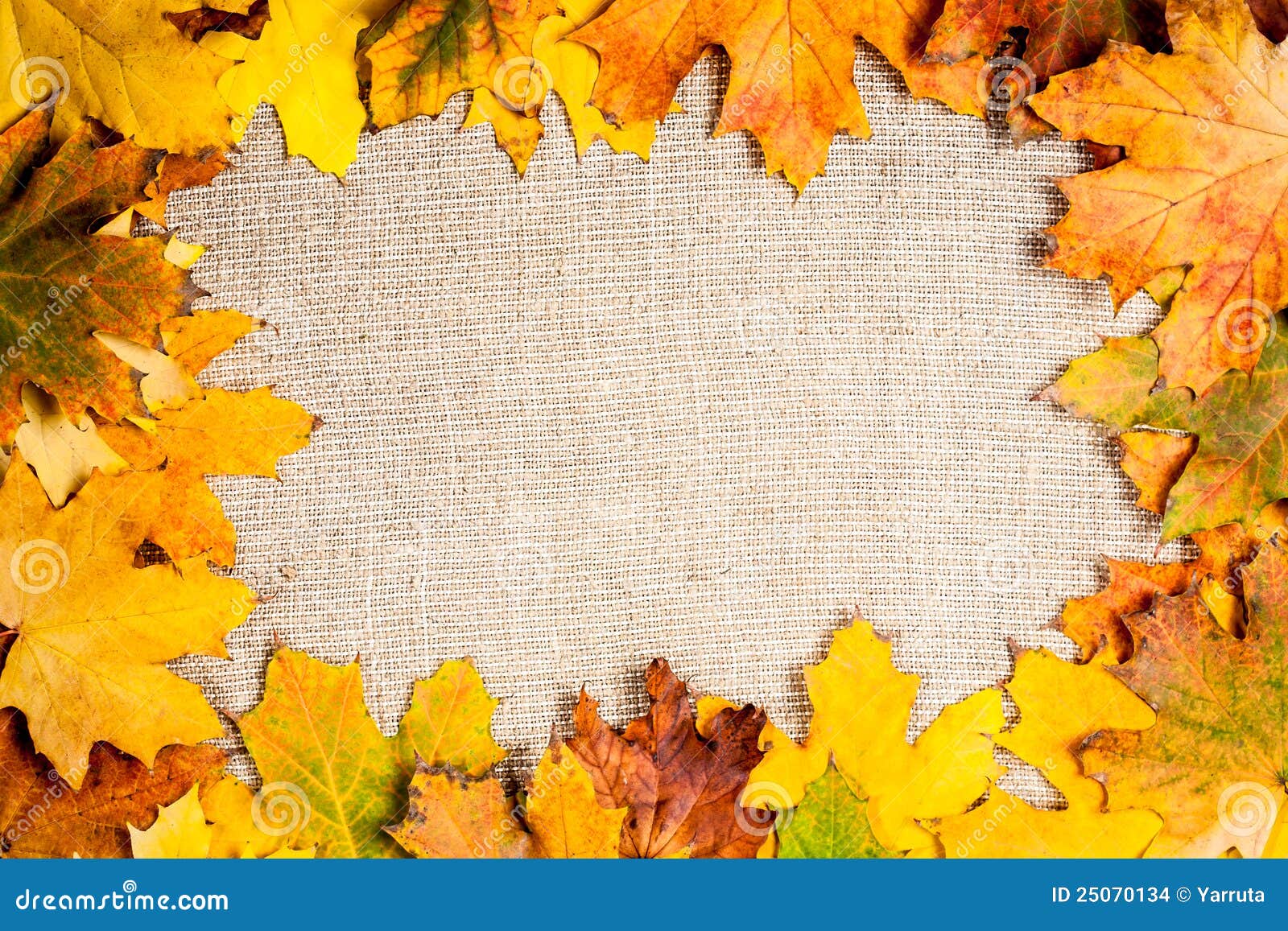 Autumn frame on canvas stock photo. Image of fall, maple - 25070134