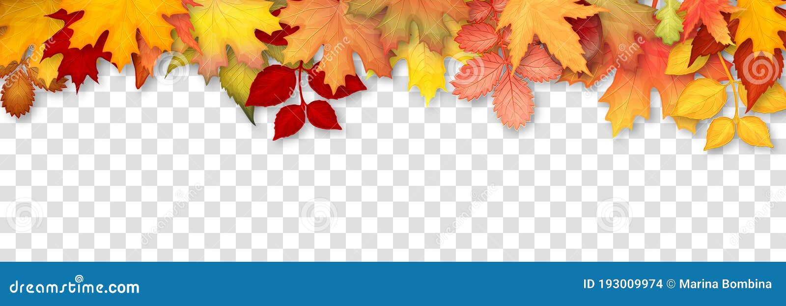 Autumn Frame with Colorful Leaves on Transparent Background. Vector ...