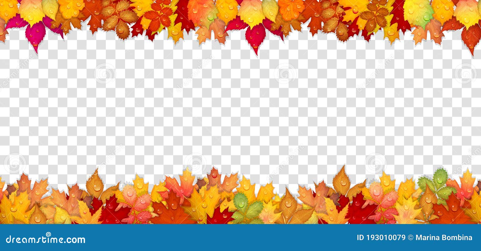 Autumn Frame with Colorful Leaves on Transparent Background. Vector ...