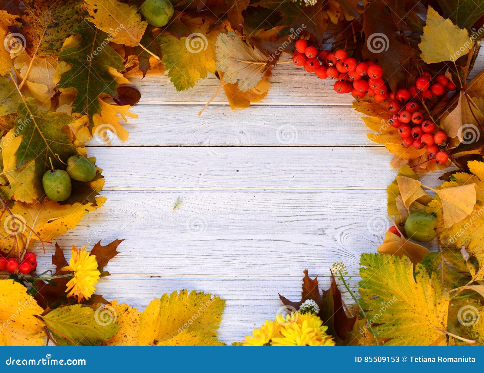 Autumn frame stock image. Image of wooden, leaves, frame - 85509153