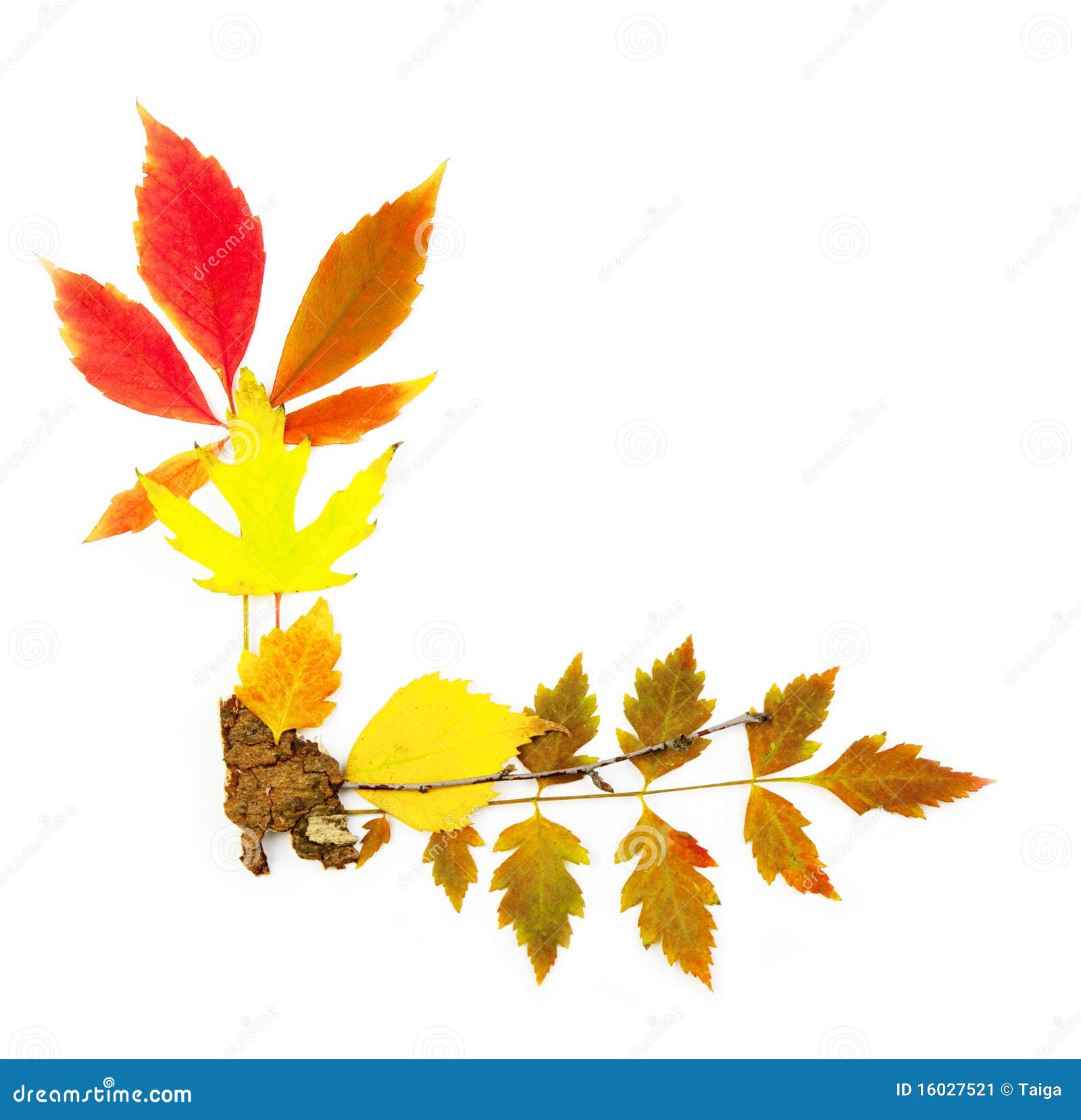 Autumn Frame Corner / Beautiful Real Leaves Stock Image - Image of ...