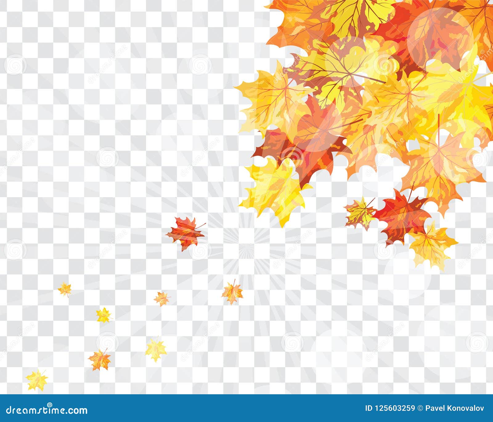 Maple Leaves on Transparency Grid Stock Vector - Illustration of ...