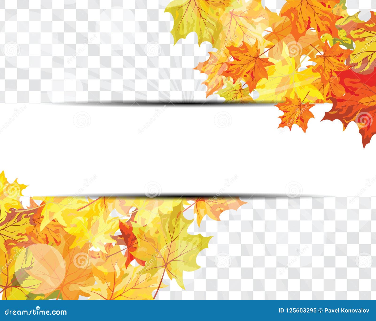 Maple Leaves on Transparency Grid Stock Vector - Illustration of copy ...