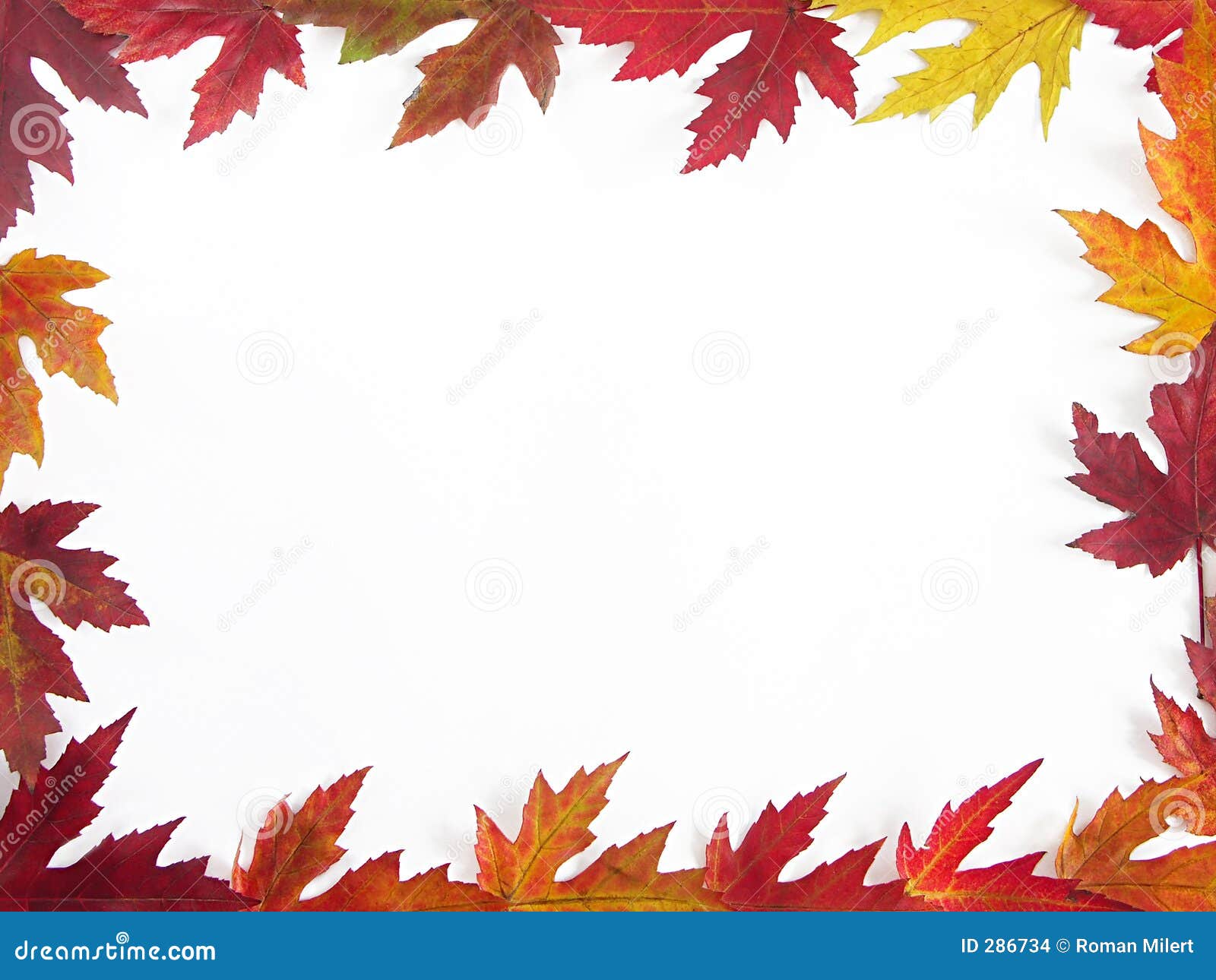 Autumn framework stock photo. Image of dead, fall, frame - 286734