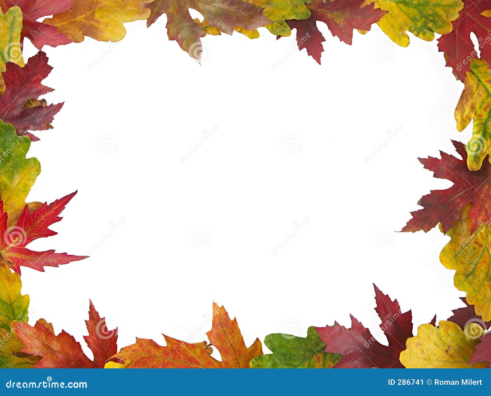Autumn framework stock image. Image of fallen, autumn, decoration - 286741