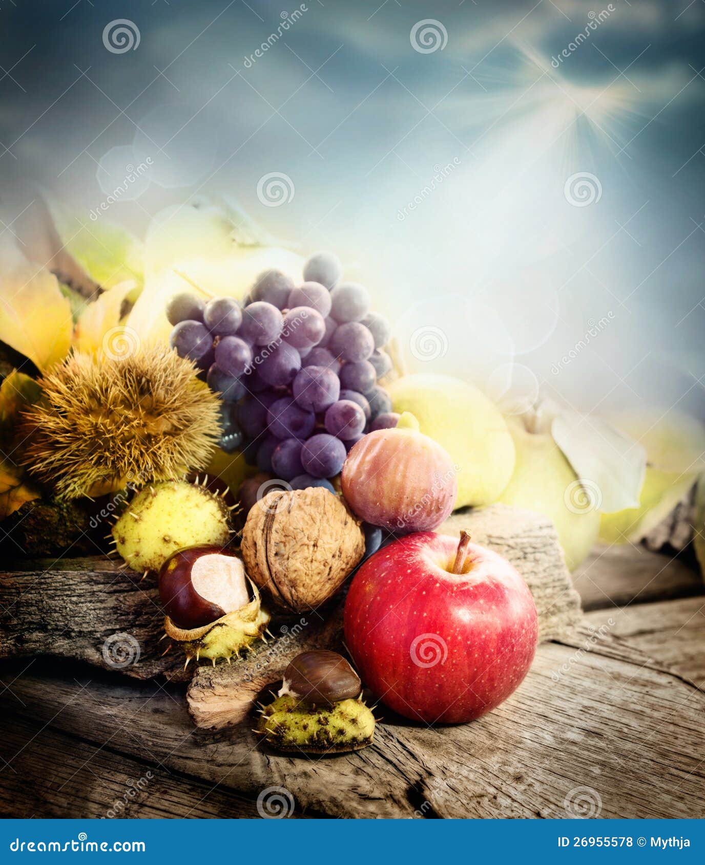 Autumn fruit stock photo. Image of harvest, food, color - 26955578