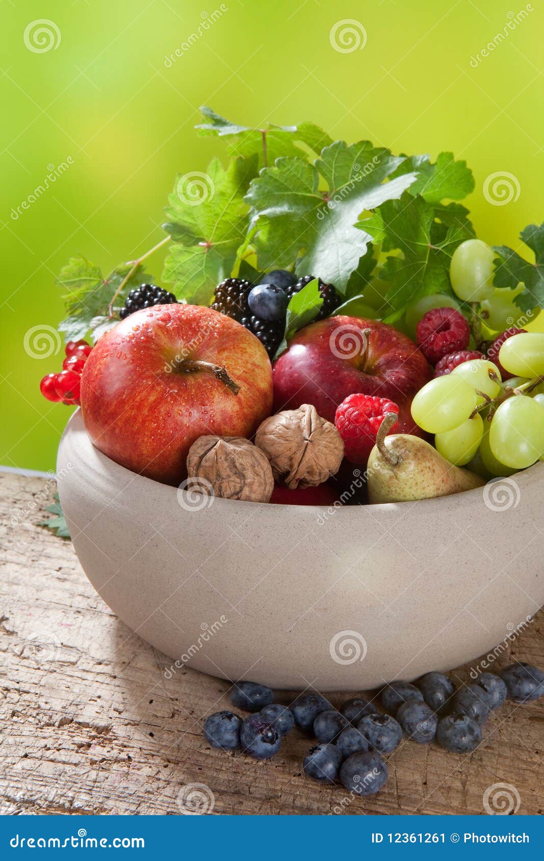 Autumn Fruit Bowl and Vines Stock Image - Image of cranberry, fresh ...