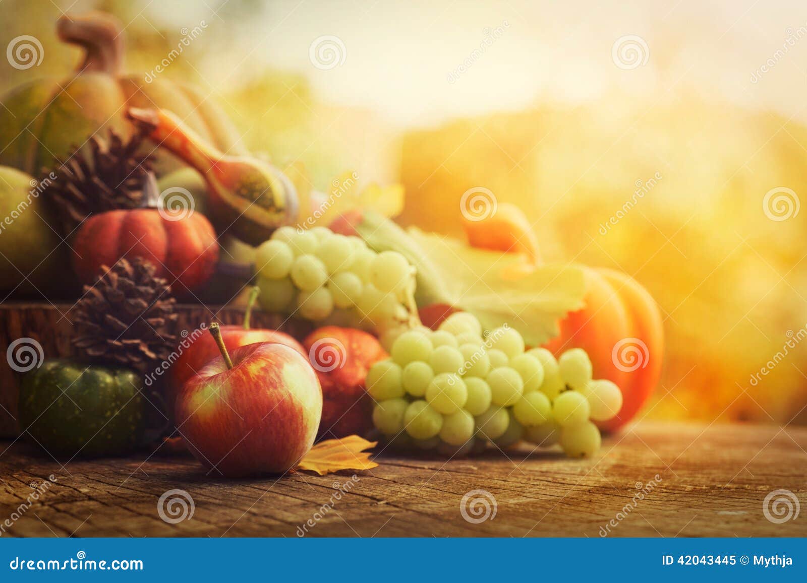 Autumn fruit stock image. Image of natural, collection - 42043445
