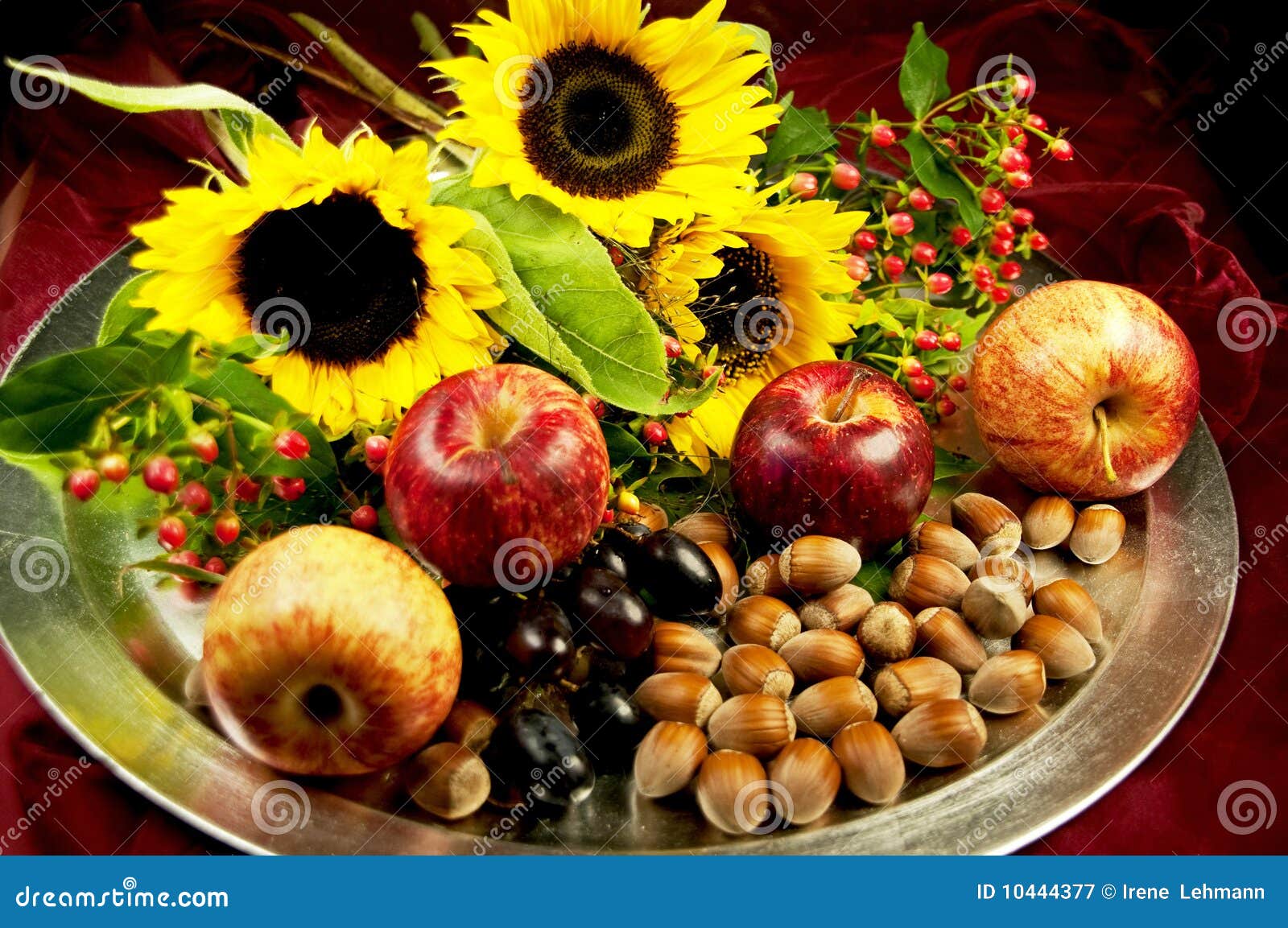 Autumn Fruits Royalty-Free Stock Image | CartoonDealer.com #46470238