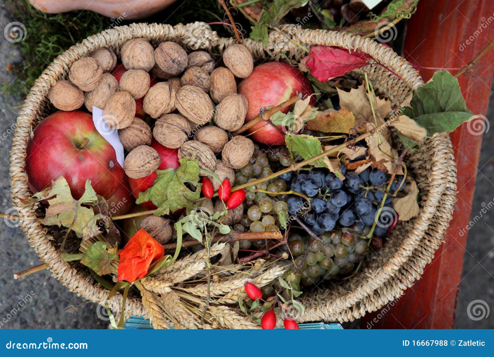 Autumn fruits stock photo. Image of fall, health, fruit - 16667988