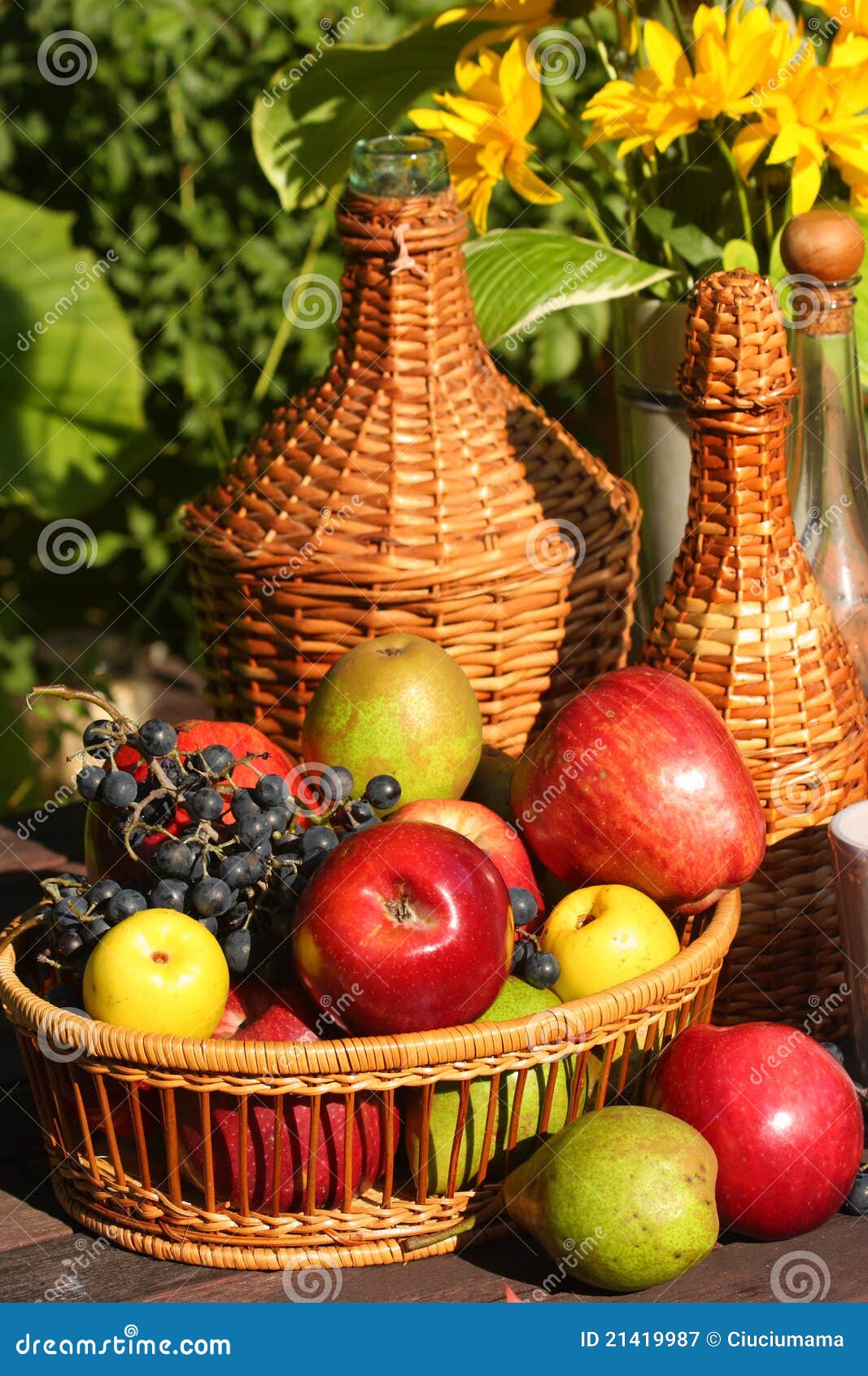 Autumn fruits stock image. Image of bootle, goldenrod - 21419987