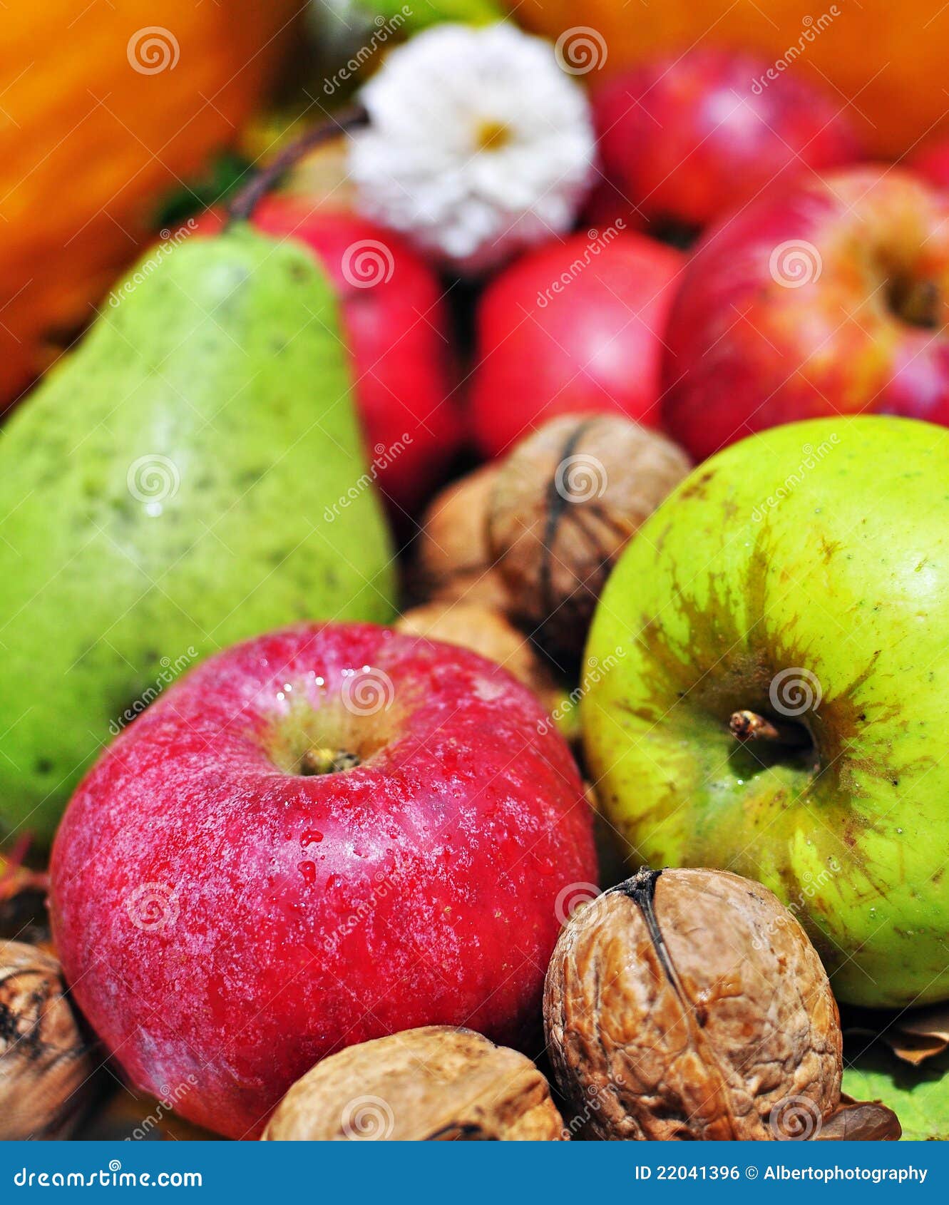 Autumn fruits stock photo. Image of arrangement, festival - 22041396