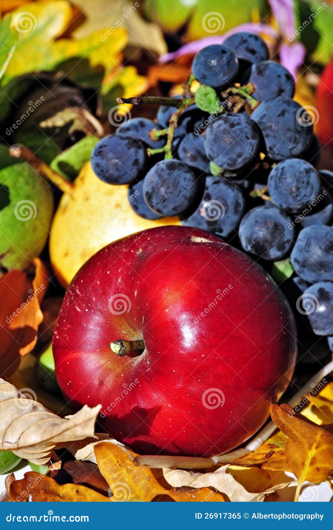 Autumn fruits 3 stock image. Image of dinner, flower - 26917365
