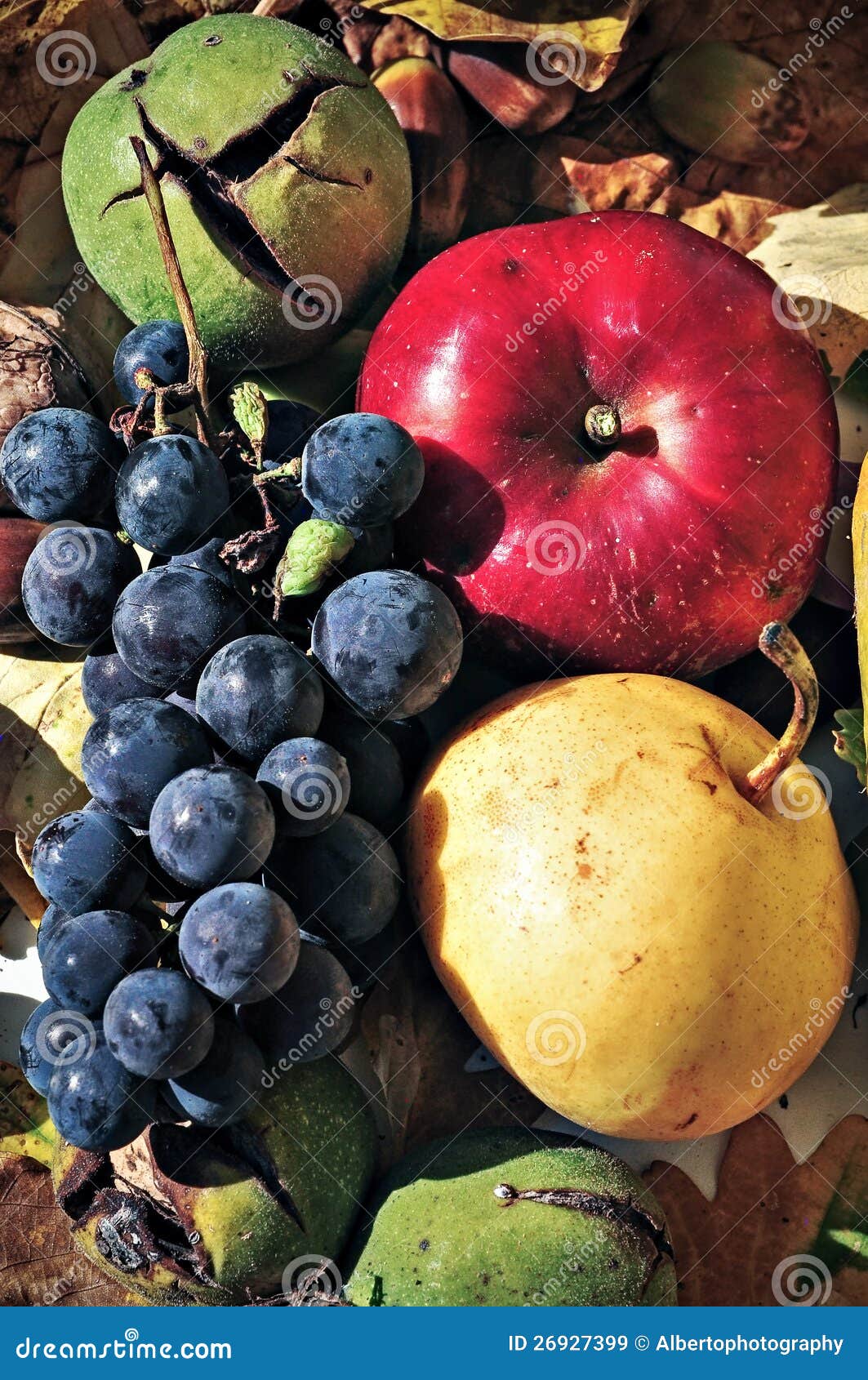 Autumn fruits 6 stock image. Image of flower, dinner - 26927399