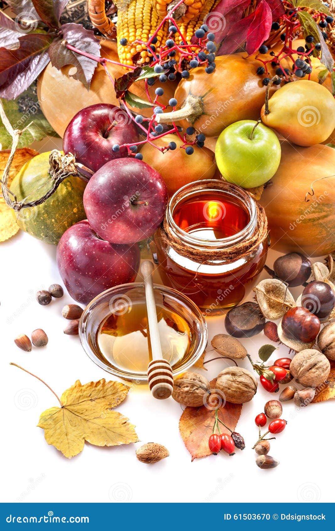 Autumn Fruits stock foto. Image of vruchten, honing, najaar - 61503670