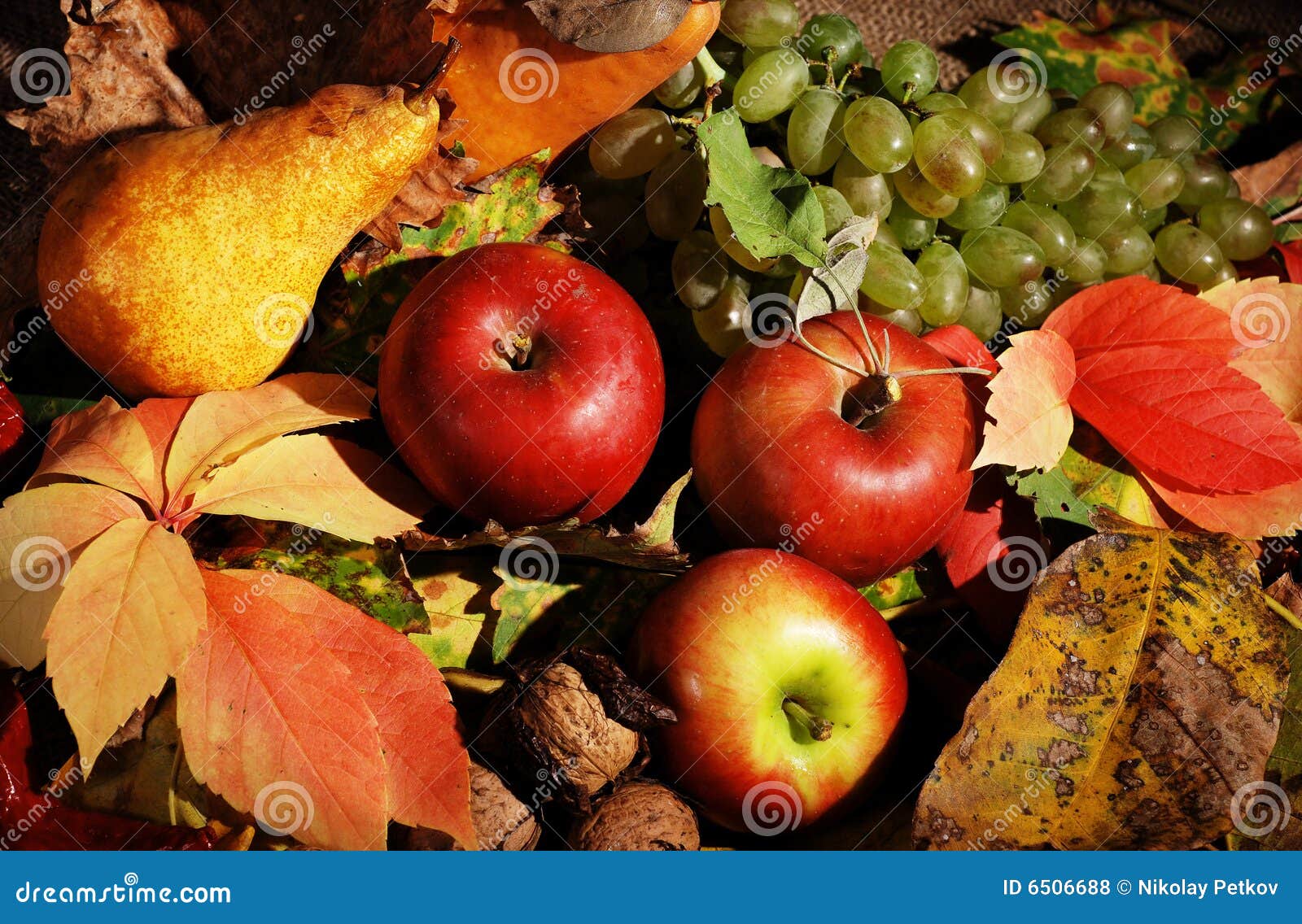 Autumn fruits stock photo. Image of grape, taste, leaves - 6506688