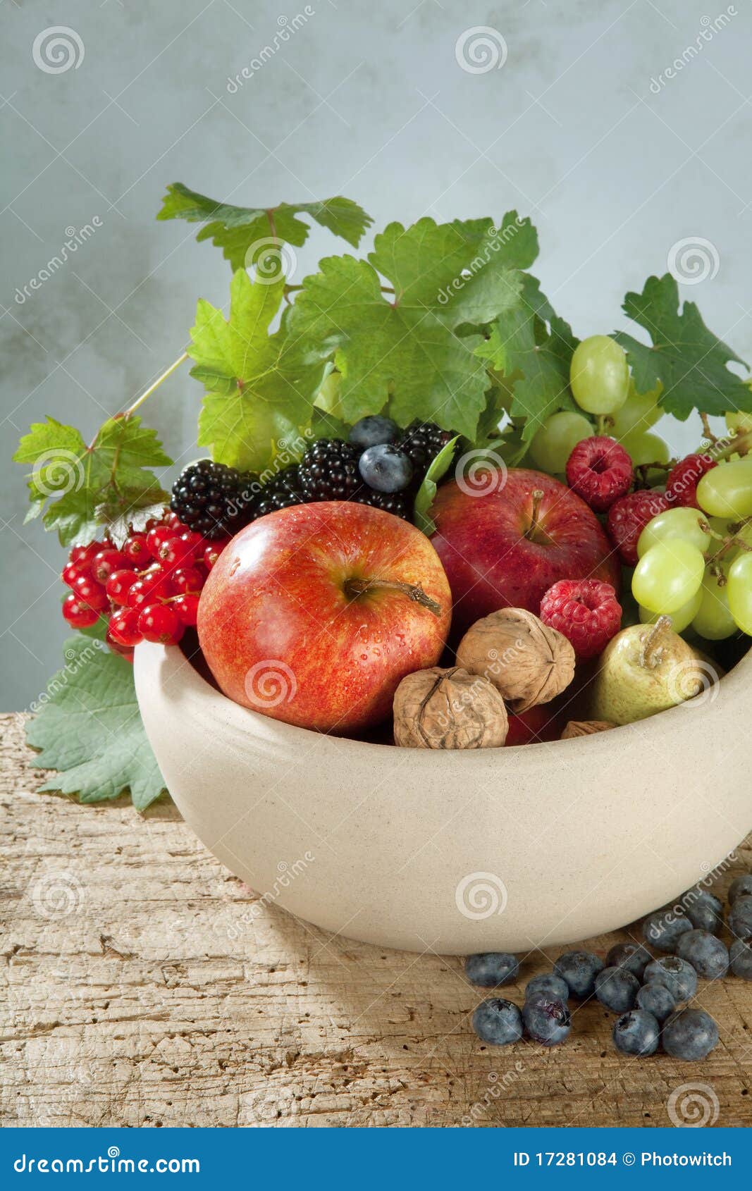 Autumn fruits in a bowl stock photo. Image of cranberries - 17281084