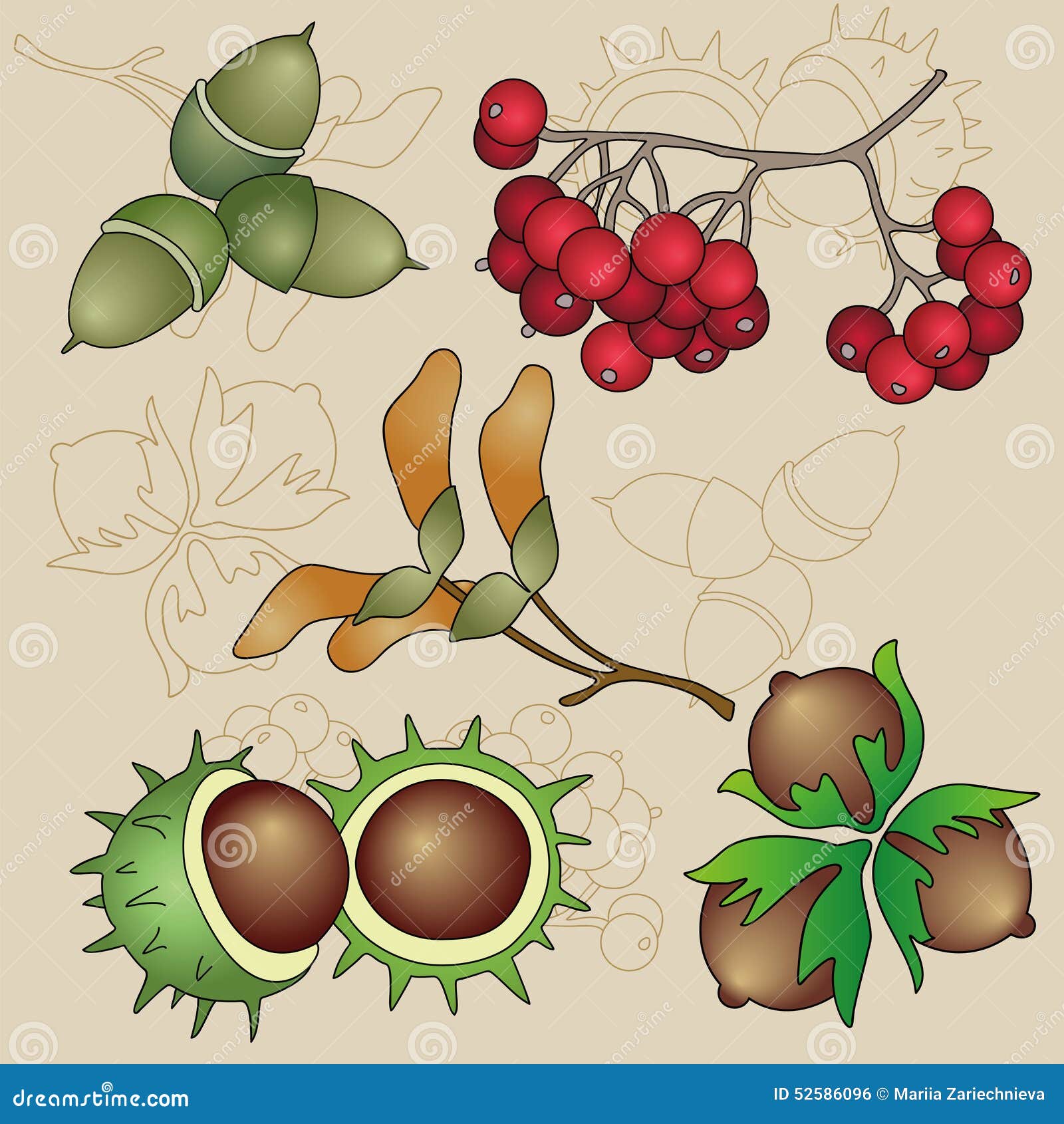 Autumn Fruits Background Cartoon Vector | CartoonDealer.com #124196565
