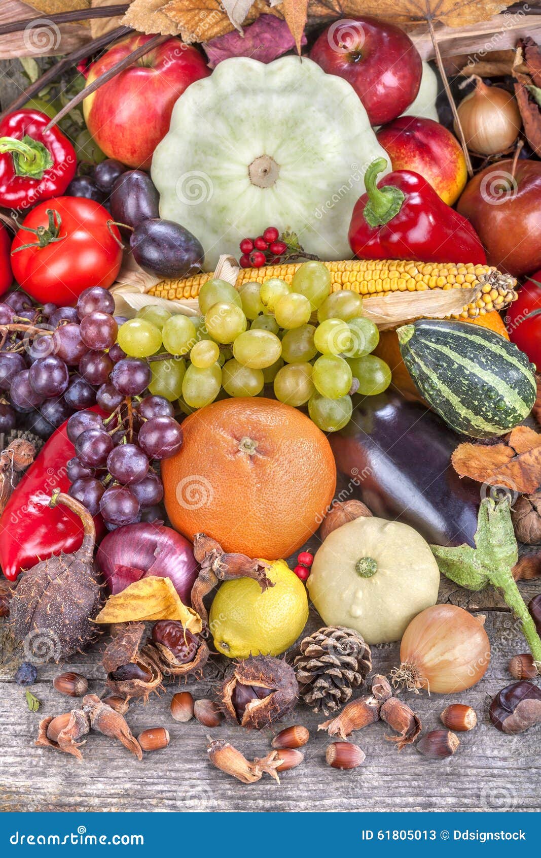 Autumn fruits stock image. Image of hazelnuts, organic - 61805013