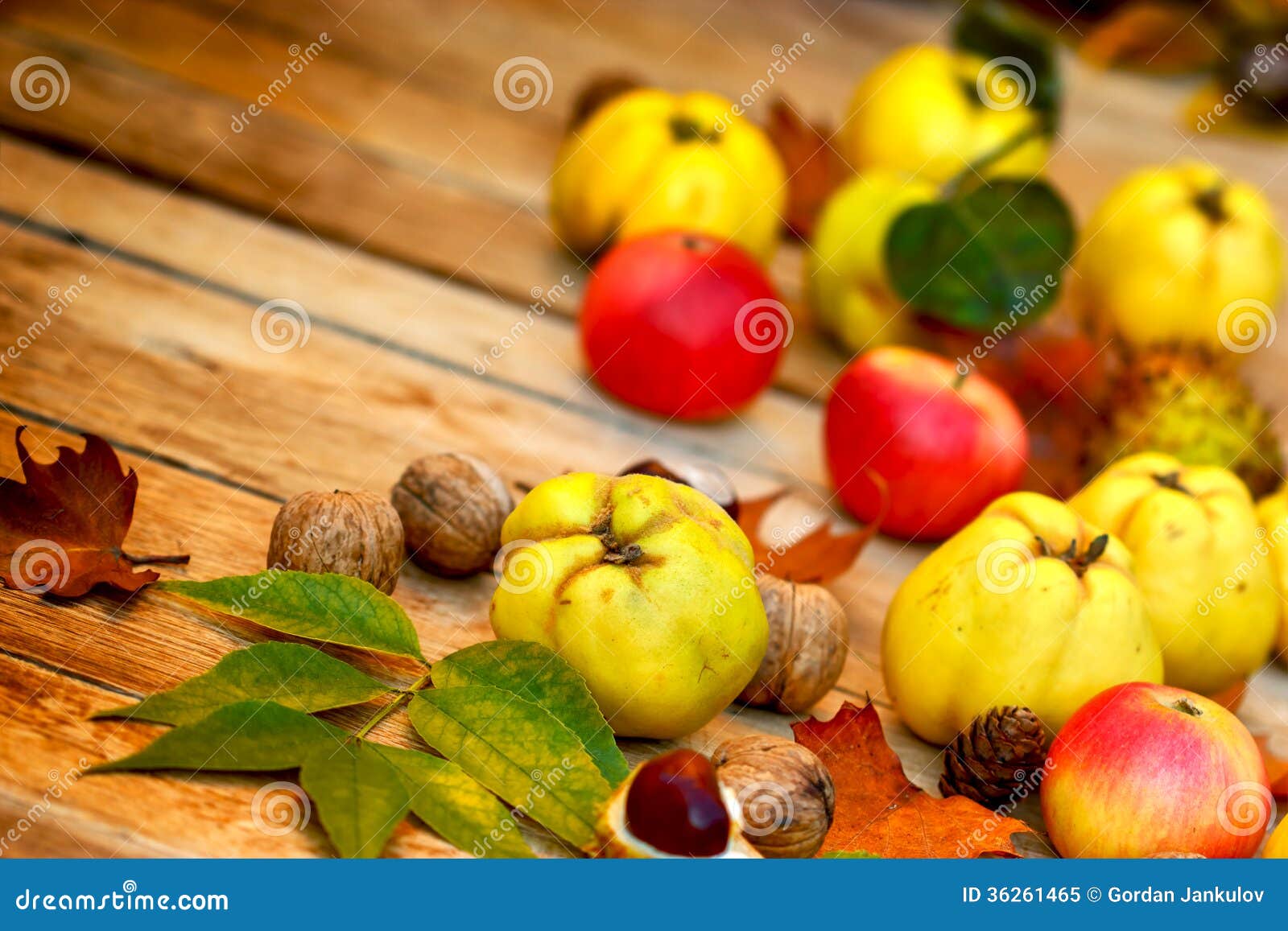 Autumn fruits stock image. Image of organicfood, delicious - 36261465