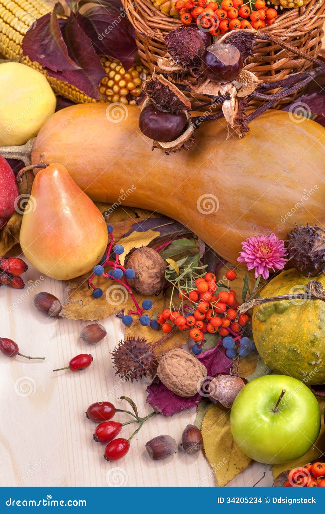 Autumn fruits stock photo. Image of decoration, food - 34205234
