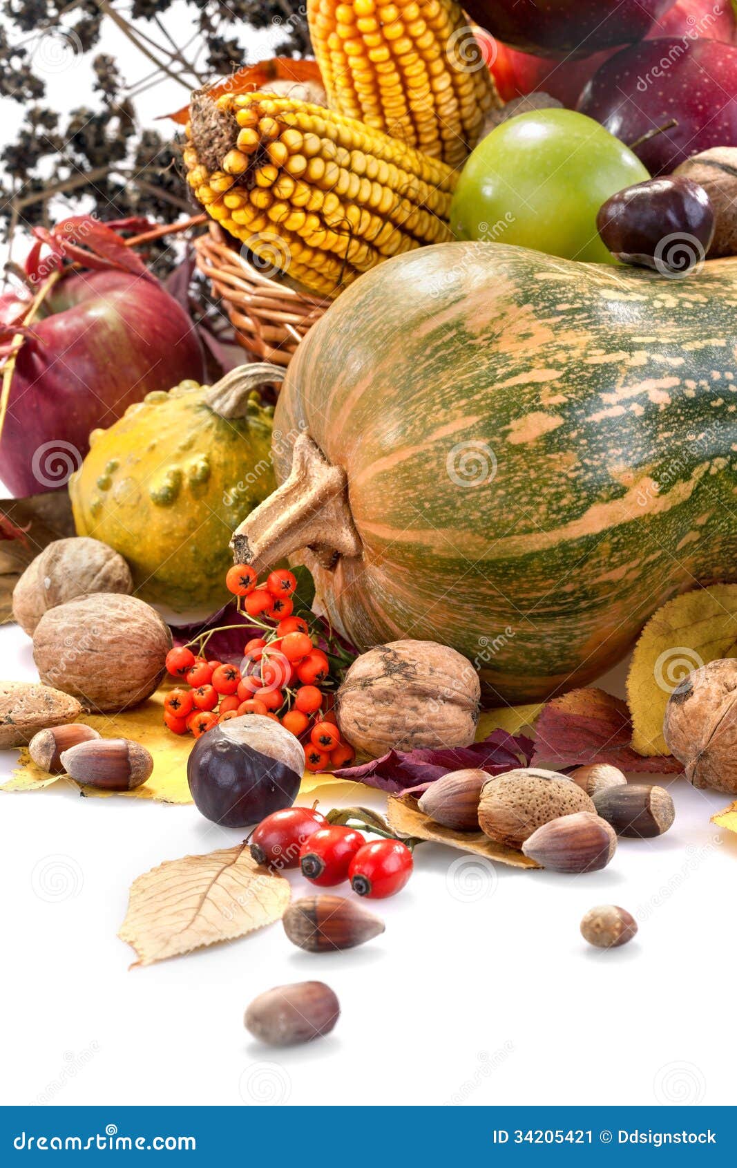 Autumn fruits stock image. Image of leaf, fruits, autumn - 34205421