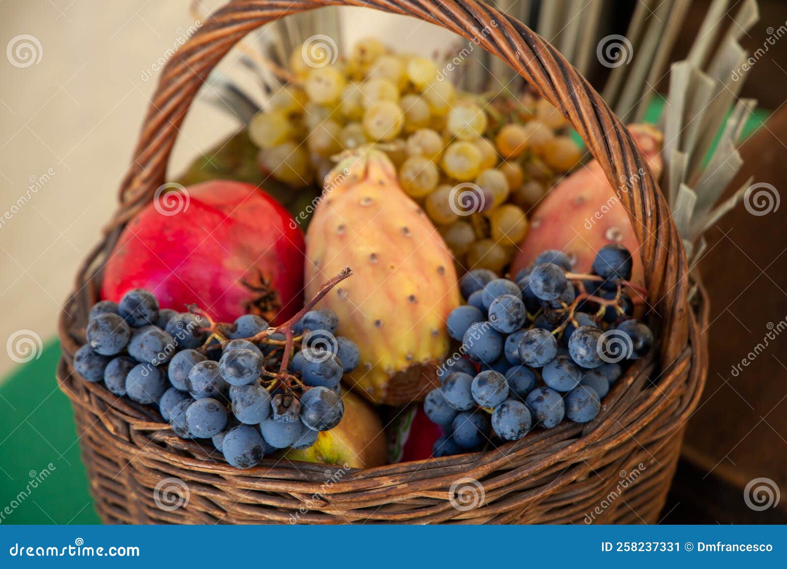 Autumn Fruits Woods and Fields Ancient Spontaneous Fruits Stock Image ...