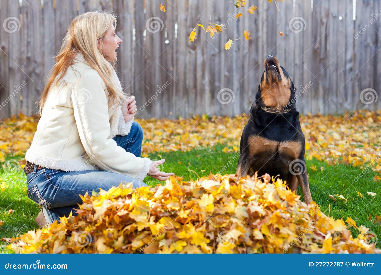 Autumn Fun stock image. Image of landscape, grass, leaves - 27272287