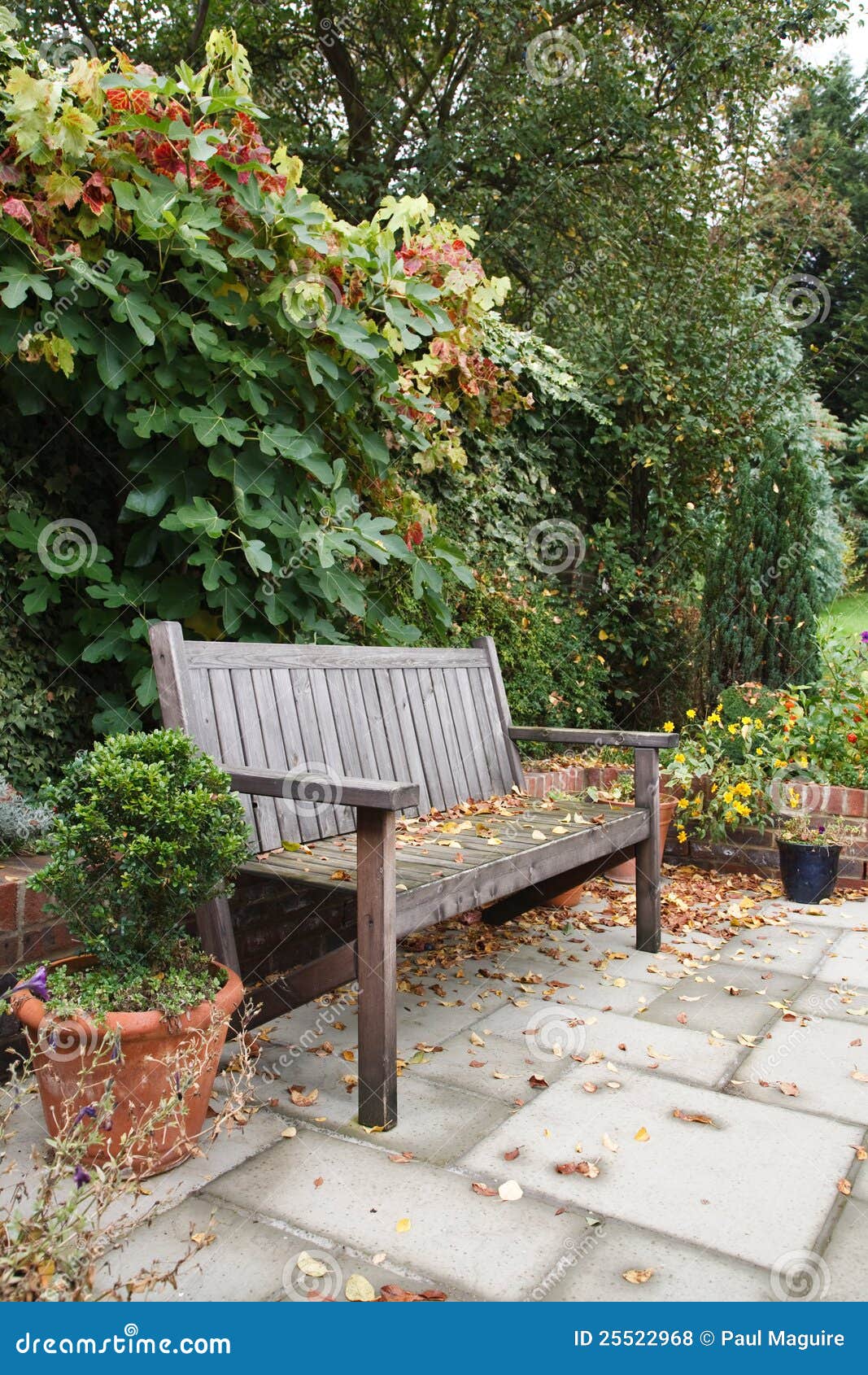 Autumn garden stock photo. Image of backyard, bench, backgrounds - 25522968