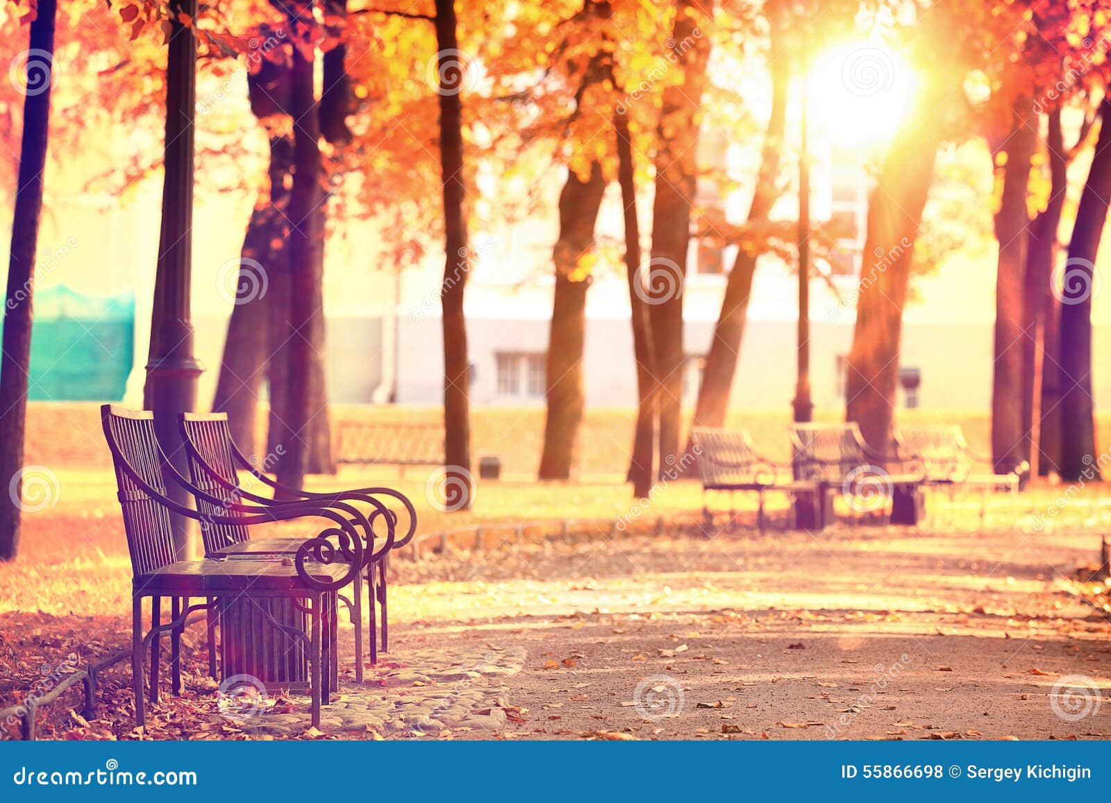 Autumn garden with bench stock photo. Image of furniture - 55866698