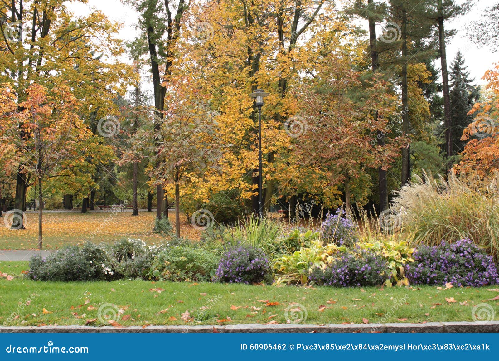 Autumn garden in color stock photo. Image of botanic - 60906462