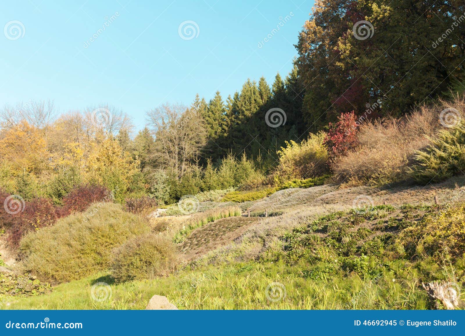 Autumn garden scene stock image. Image of landscape, multi - 46692945