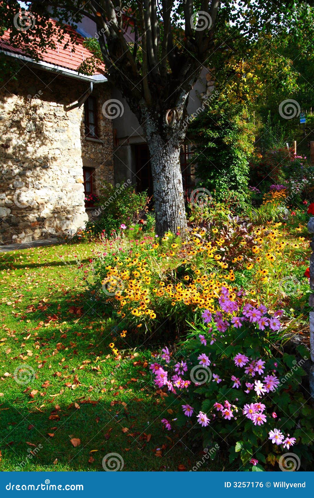 Autumn gardening stock photo. Image of housing, house - 3257176