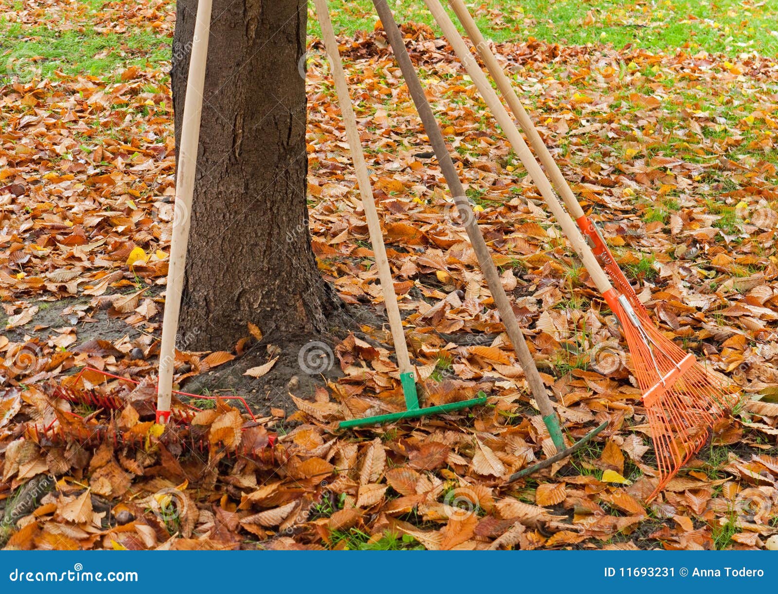 Autumn gardening tools stock image. Image of heap, picking - 11693231