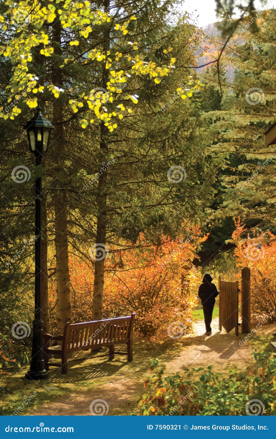 Autumn Gate stock image. Image of peaceful, paradise, walking - 7590321